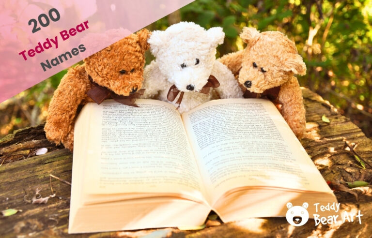200 Teddy Bear Names: Cute, Good, Classic - Teddy Bear Art